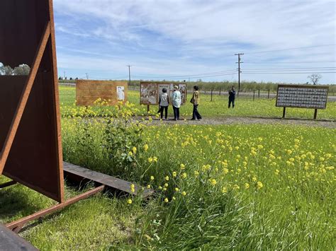 Special Projects Yuba Sutter Arts And Culture