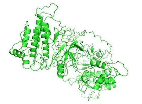 Fgfr2 Fibroblast Growth Factor Receptor 2 Bioinformatics For Dentistry