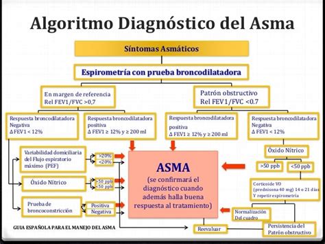 Actualizacion En Asma Bronquial