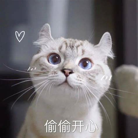 36℃！“三多两少”巧妙应对哈市高温天气气温冰城白天