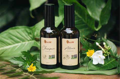 Lựa Chọn Làm đẹp Lành Tính Từ Bio Lak Thương Hiệu Mỹ Phẩm Việt Nam đầu