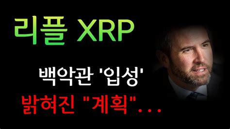 리플 Xrp 백악관 입성 드디어 밝혀진 계획 Youtube