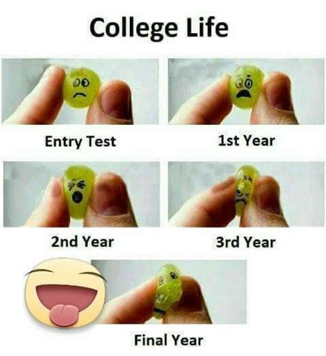 College Life Funny Images And Photos
