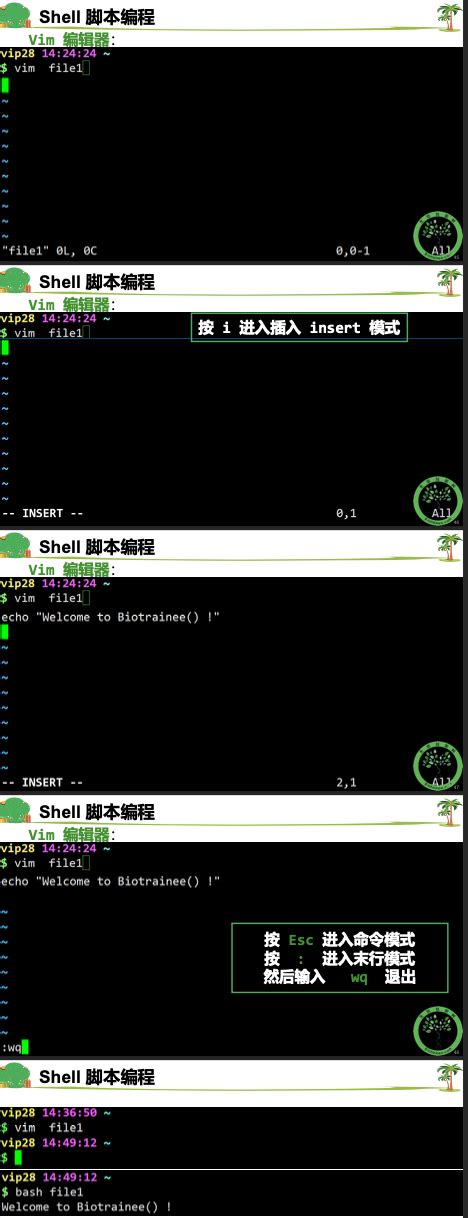 Linux Shell 脚本 腾讯云开发者社区 腾讯云