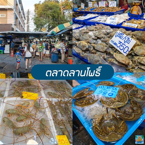 พูลวิลล่า ที่พักติดทะเล บ้านพักพัทยา หัวหิน By Wish Pool Villa