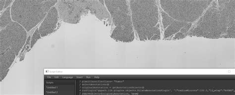 How To Automatically Graduate A Polyline Image Analysis Image Sc Forum