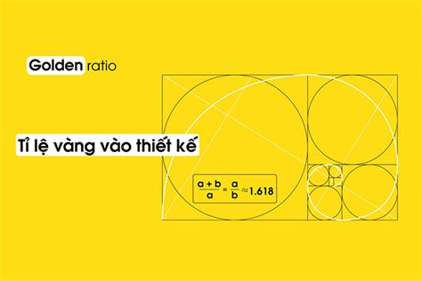Rất Hay Tỷ lệ vàng trong thiết kế Khái niệm vai trò và ứng dụng