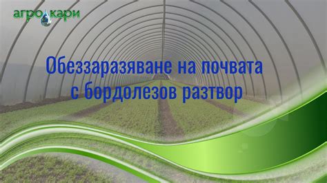 Обеззаразяване на почвата с Бордолезов разтвор Youtube