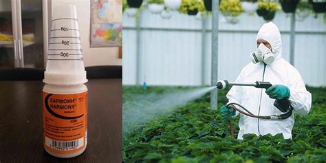 Гербицид Хармони - преимущества препарата, инструкция, дозировка