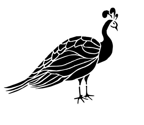 Peacock Stencil Birds Peacocks Stencils Etsy