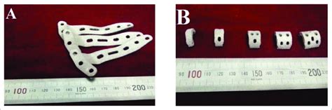 Titanium Implants Prepared With Selective Electron Beam Melting Download Scientific Diagram