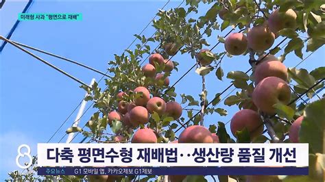 미래형 사과 평면으로 재배
