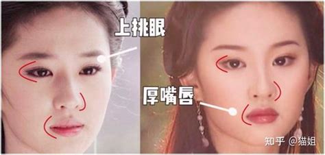 刘亦菲的驼峰鼻为什么充满 仙气”？ 知乎