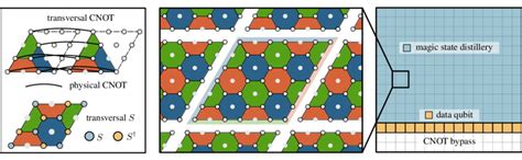 Color Codes Feature Transversal Clifford Gates While The Logical