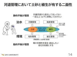 河道内氾濫原の保全と再生 PPT