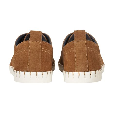 Logan Lace Telegraph