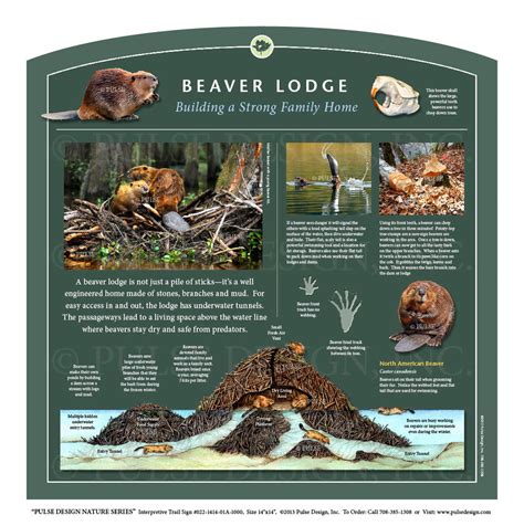 Outdoor Interpretive Nature Trail Sign In Water And Wetlands Habitat