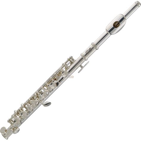 군사 밴드 악기 및 행진 밴드 장비 공급 업체 British Band Instrument Company Limited