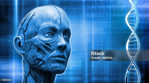 인체 해부학 Dna 기호 근육 구조와 블루 의료 배경 3d 렌더링 0명에 대한 스톡 사진 및 기타 이미지 0명 3차원 형태 건강관리와 의술 Istock