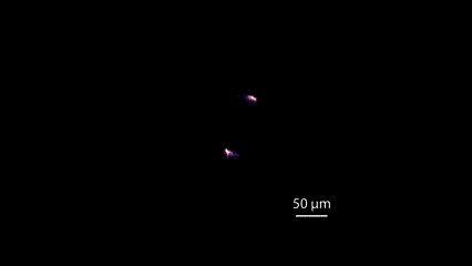 MIT Engineers Develop A Low Cost Terahertz Camera MIT News Massachusetts Institute Of Technology