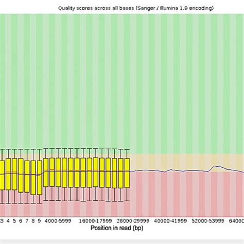 The Per Base Sequence Quality For All Of The Reads Generated From The