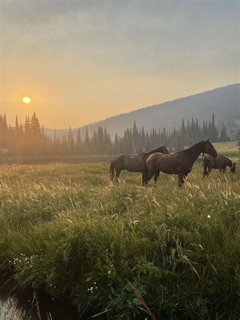 Chase A Chase A Heiland Bozeman Montana Real Estate