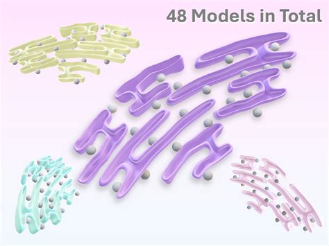 3d Model Endoplasmic Reticulum Turbosquid 2259993