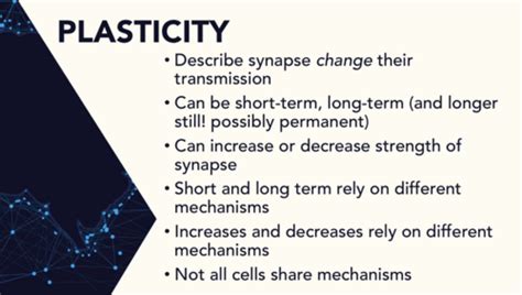 Nsb 500 Lecture 9 Plasticity Flashcards Quizlet