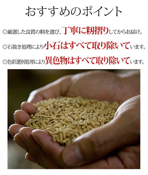 【楽天市場】【送料無料】奥信濃キヌヒカリ（玄米）10kg 令和6年産スーパーフード 家庭用精米機 玄米食 長野県飯山産 金崎さんちのお米【39