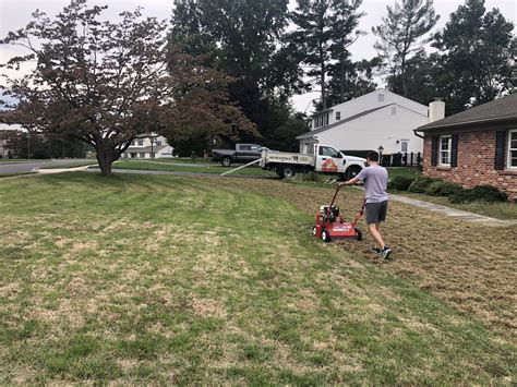 An Experiment In Organic Lawn To Meadow Conversion A Timeline — Ndal