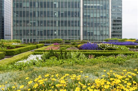Creating Value On A Canary Wharf Building In London Roof Garden