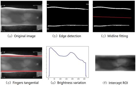 Figure 5 From Convolutional Neural Network Approach Based On Multimodal Biometric System With