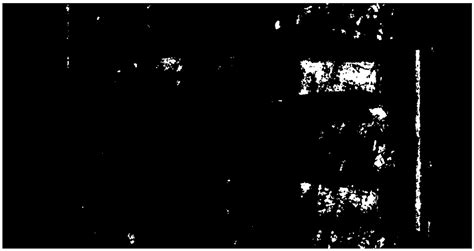 Sleeper Positioning And Counting Method Using Linear Array Image