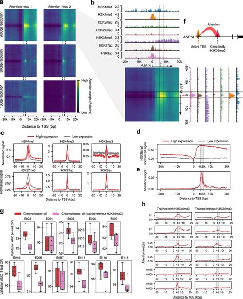 Analysis Of Self Attention Weights Learned By The Embedding Download Scientific Diagram
