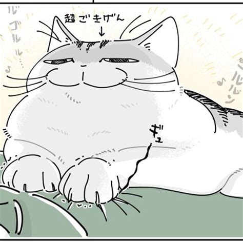 【ネコ漫画】飼い主の上に乗ってごきげんな愛猫その仕草＆動けない飼い主にsnsで共感コメント多数！ Ameba News アメーバニュース