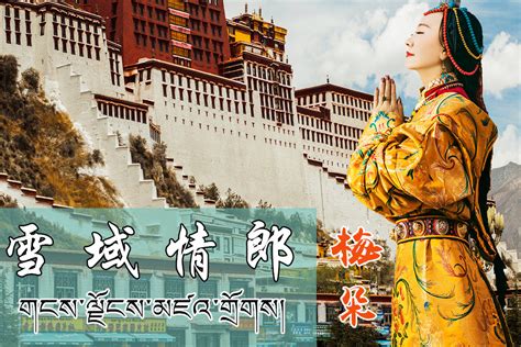 梅朵最新单曲雪域情郎震撼心灵