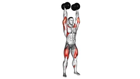 Dumbbell Push Press Ultimate Guide And Tips