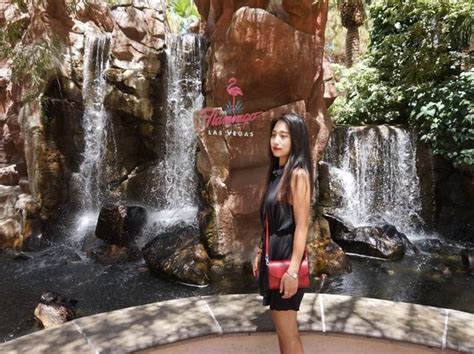 라스베이거스 여행 호텔은 플라밍고 호텔💛 트립닷컴 라스베이거스