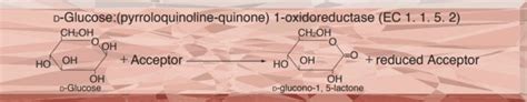 Glucose Dehydrogenase Pqq Dependent From Microorganism
