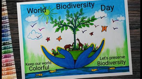 Biodiversity Drawing Easy