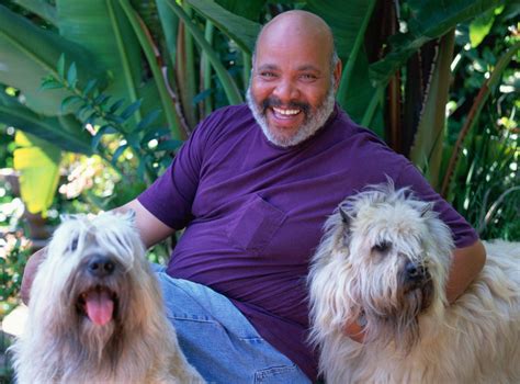 James Avery Star Whose Role As Uncle Phil In The American Sitcom The