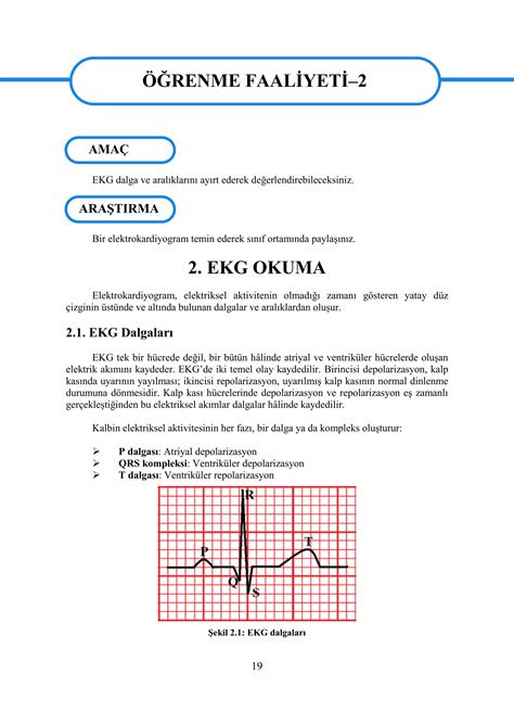 Ekg Elektrokardiografi Pdf