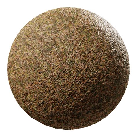 Leaf Texture Blender Poliigon