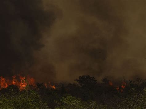Incêndios Atingem O Parque Nacional De Brasília Agência Brasil