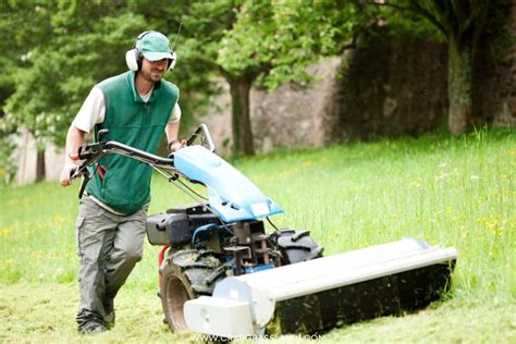 Beginners Guide To Lawn Dethatching 2026 Crabgrasslawn