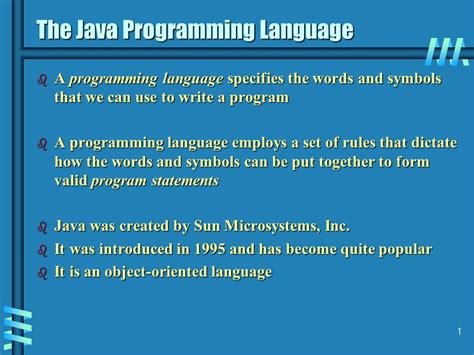 Java Programming Language