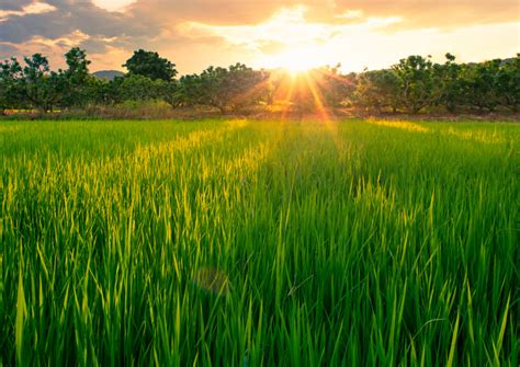 Preventing And Responding To Harassment And Sexual Misconduct Sums