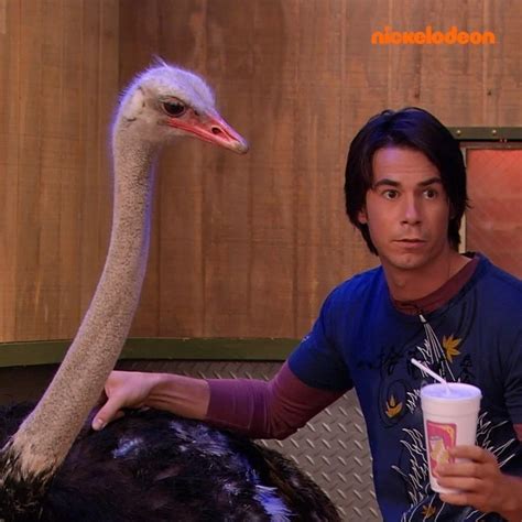 Spencer Tiene Una Avestruz Escena Icarly No Sé Qué Fue Más