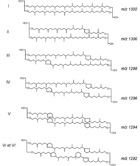 23 Structure Des Tetraéthers Isopréniques Isogdgts Avec La