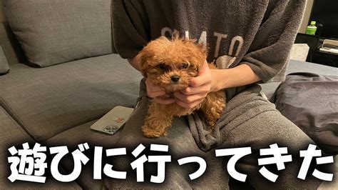 エイム君の家に遊びに行ったよ Youtube